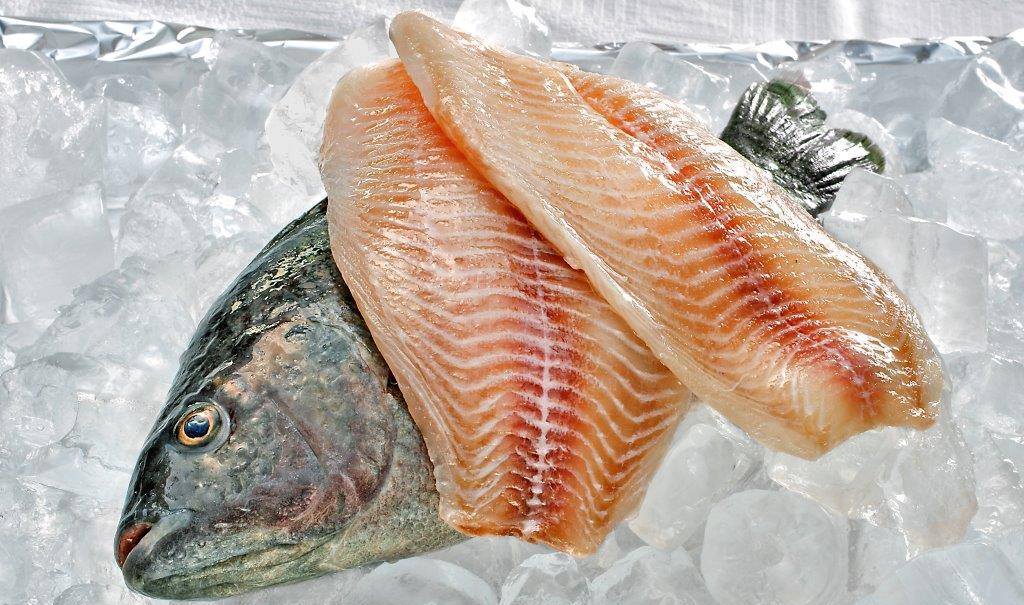 Karibabreams.co.za – Your bream fish supplier in South Africa.